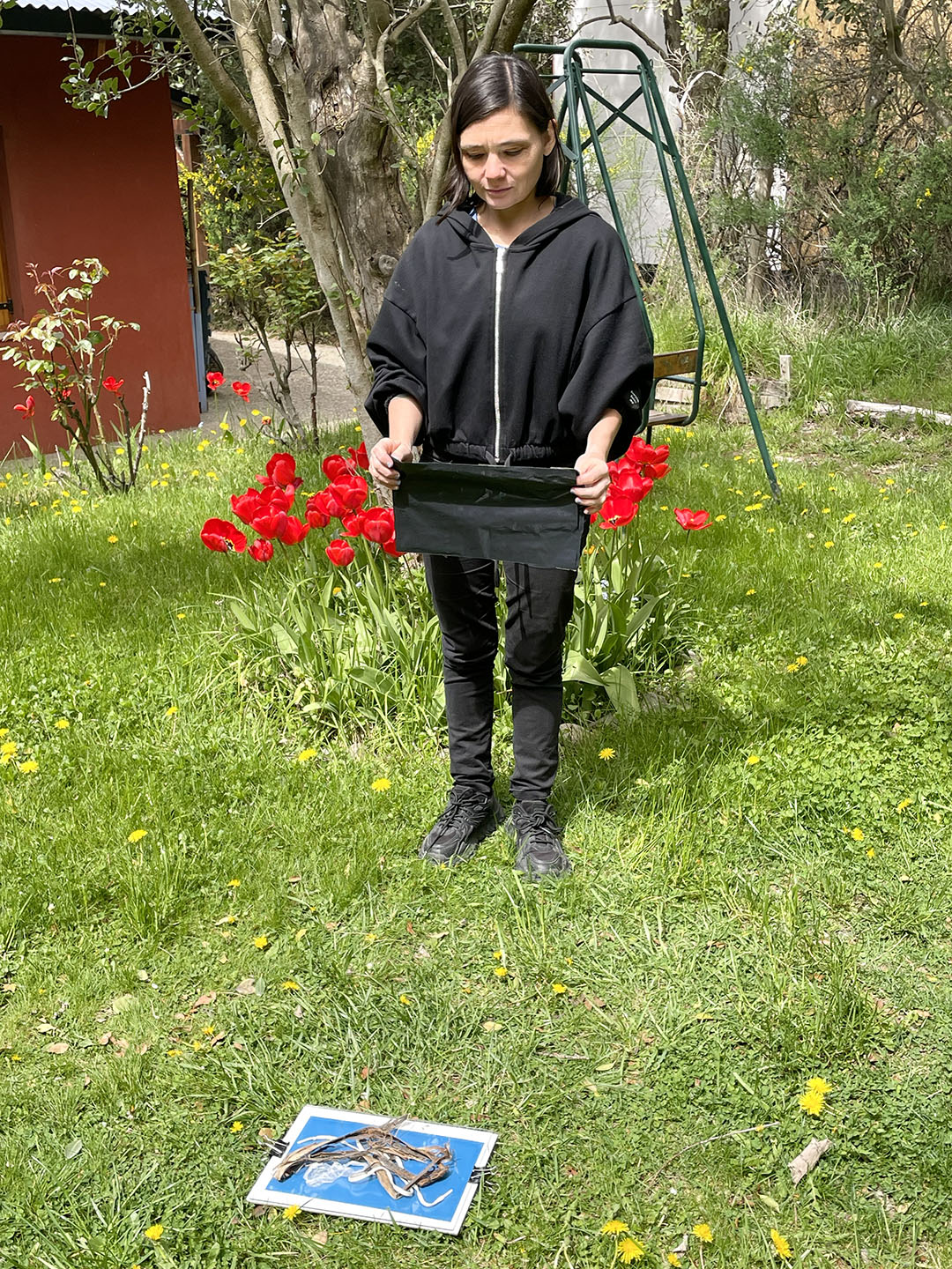 SUMMER IN PATAGONIA Self-Directed Residency in Printmaking Practice ...